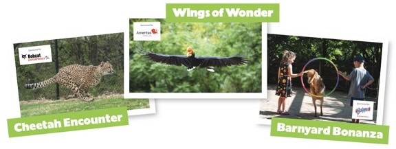 Cincy State Interpreter Training Program helps Cincinnati Zoo ...